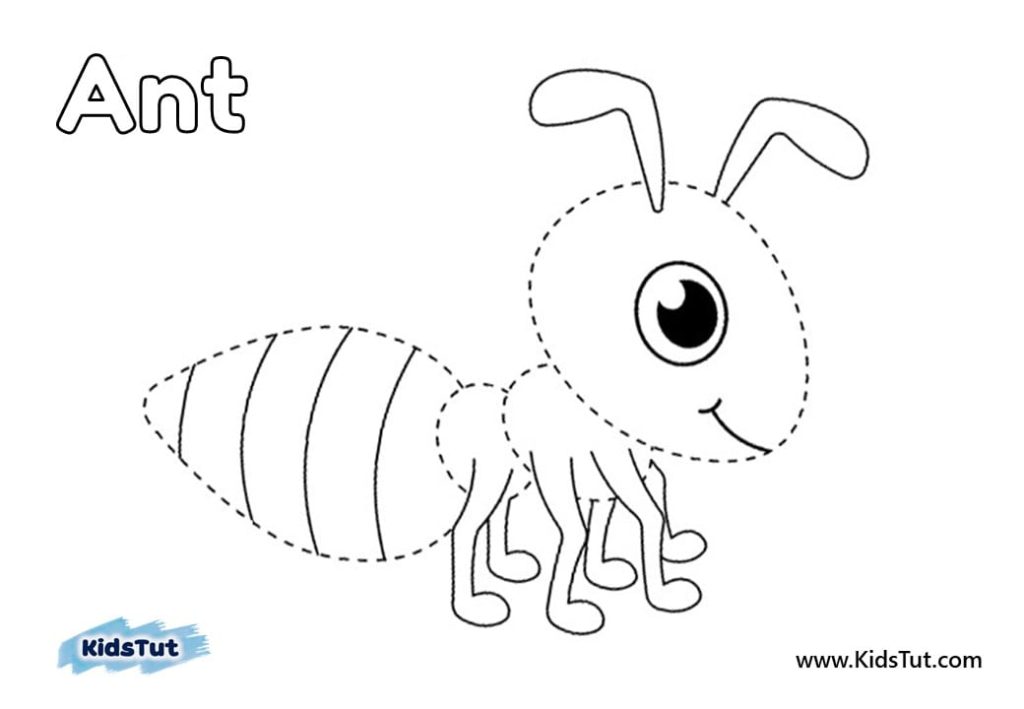 Free Garden Animals Coloring Pages for kids - KidsTut