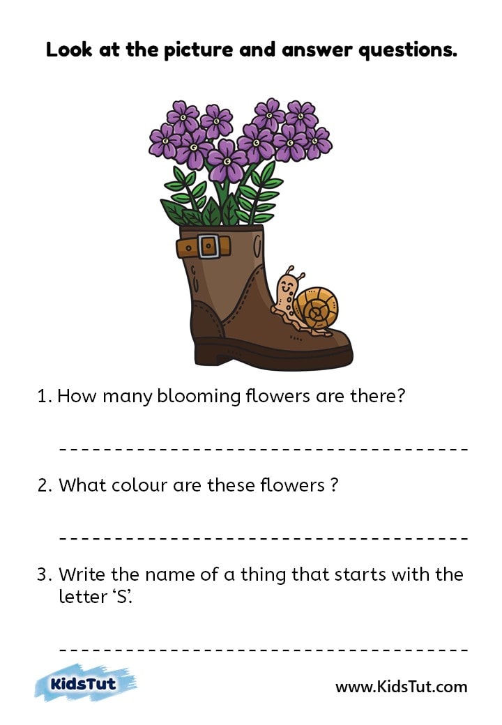 Easy Look at the picture and answer worksheets - KidsTut