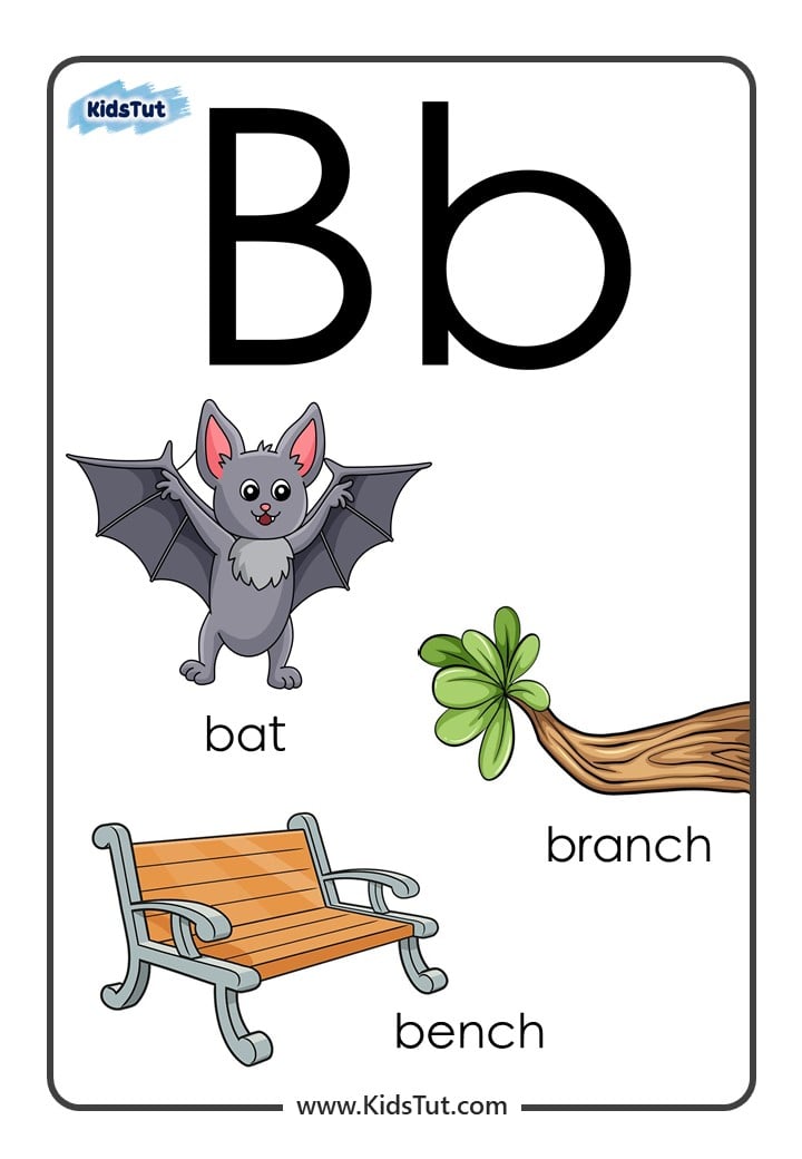 Easy ‘B’ Words with Simple Examples for Kids - KidsTut