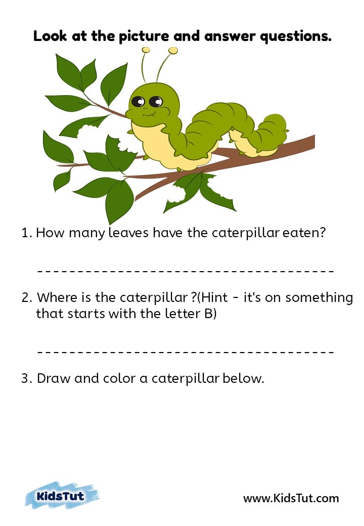 Easy Look at the picture and answer worksheets - KidsTut