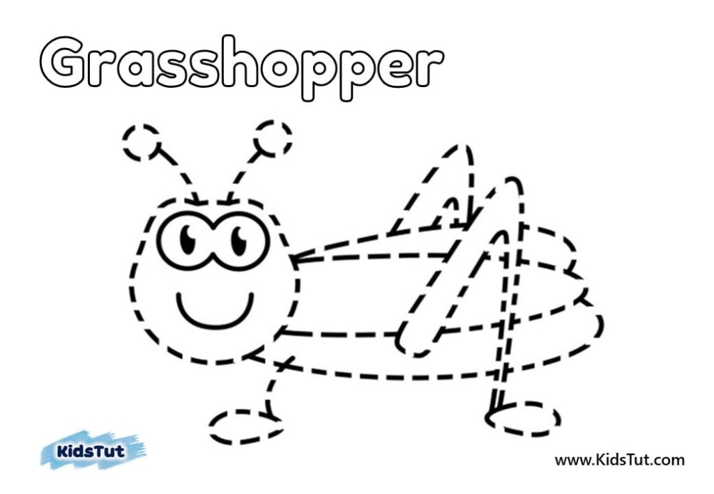 Free Garden Animals Coloring Pages for kids - KidsTut