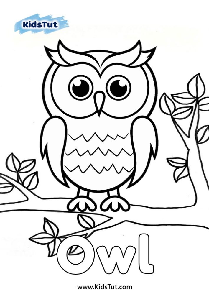 “What we can see in the night sky” Coloring Pages - KidsTut