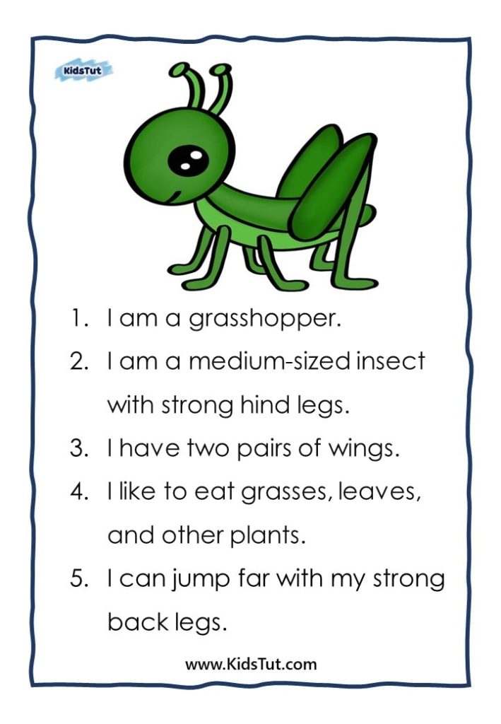 12 Easy Essays for Kids: Exploring Insects World - KidsTut
