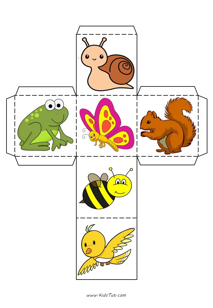 Colorful Printable Paper Dice Templates For Kids - KidsTut