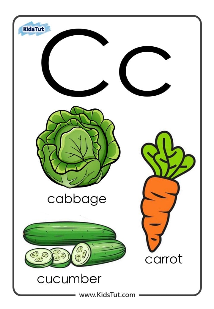 Easy ‘C’ Words with Simple Examples for Kids - KidsTut