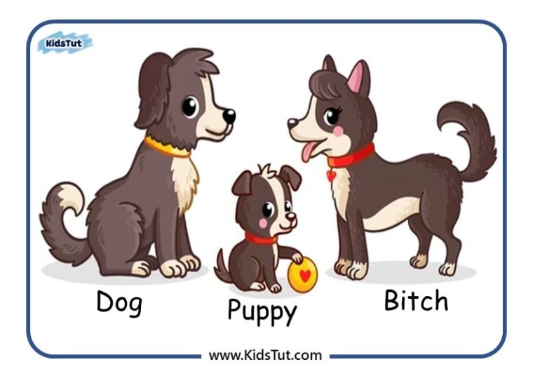 Free Printable Farm Animal Family Cards for Kids! - KidsTut