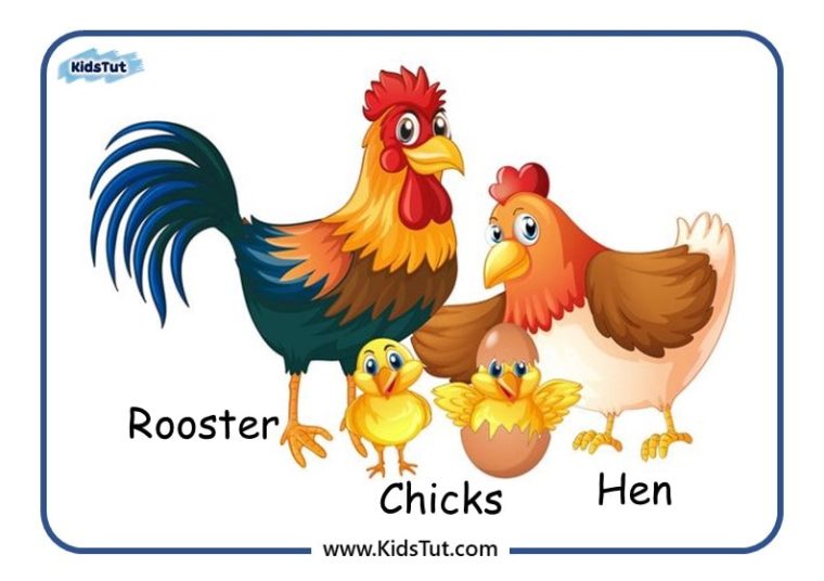 Free Printable Farm Animal Family Cards for Kids! - KidsTut