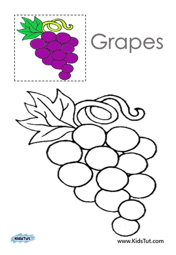 Free Printable Fruit Coloring Pages For Kids - KidsTut