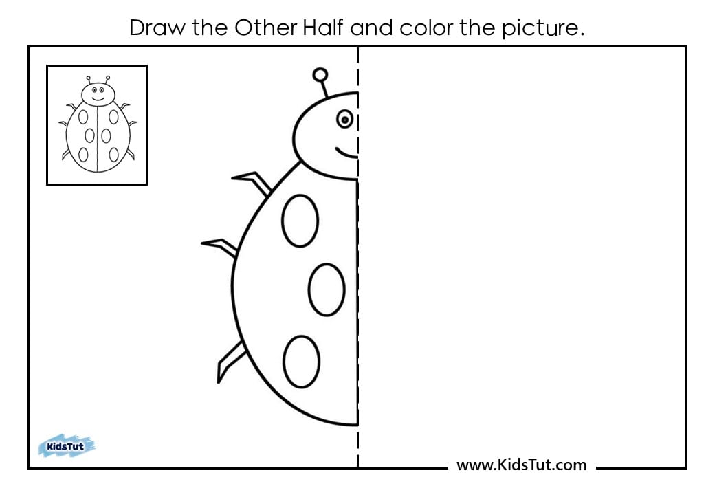Free Symmetry drawing worksheets for kids - KidsTut