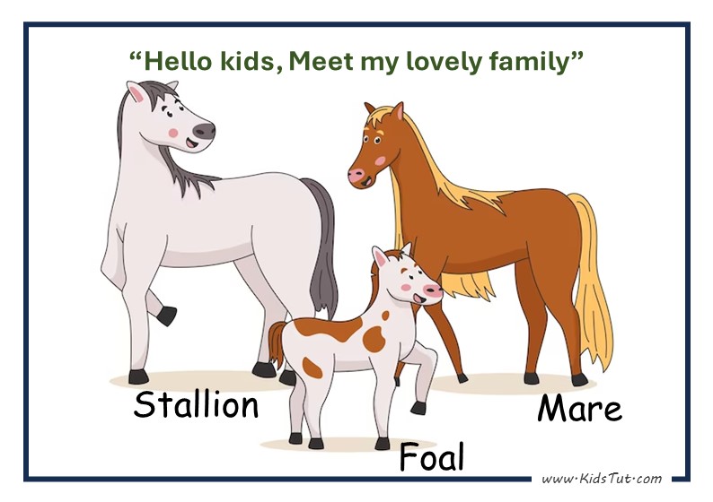 Free Printable Farm Animal Family Cards for Kids! - KidsTut