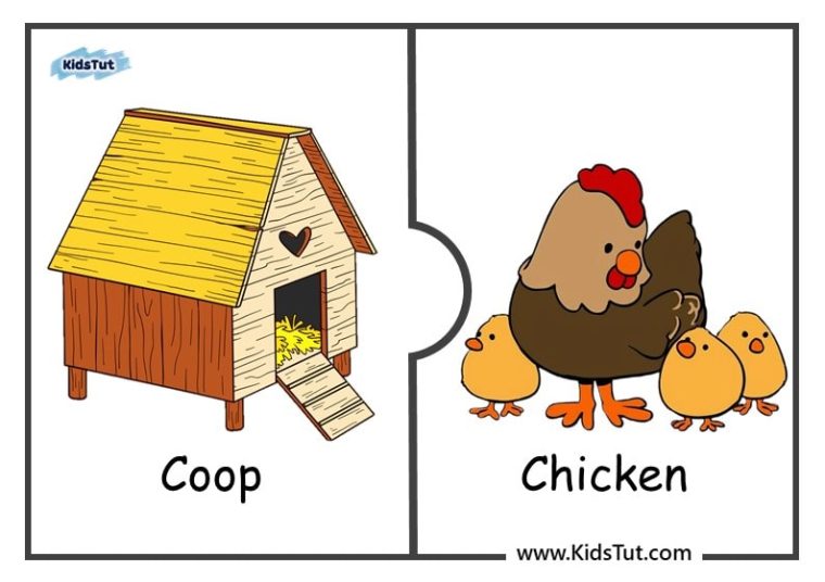 20 Flashcards of Animals and their homes for kids - KidsTut