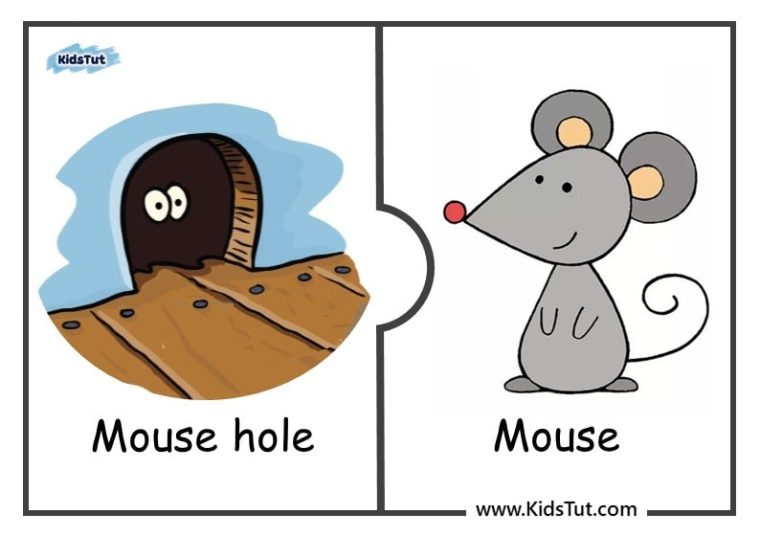 20 Flashcards of Animals and their homes for kids - KidsTut