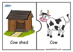 20 Flashcards of Animals and their homes for kids - KidsTut