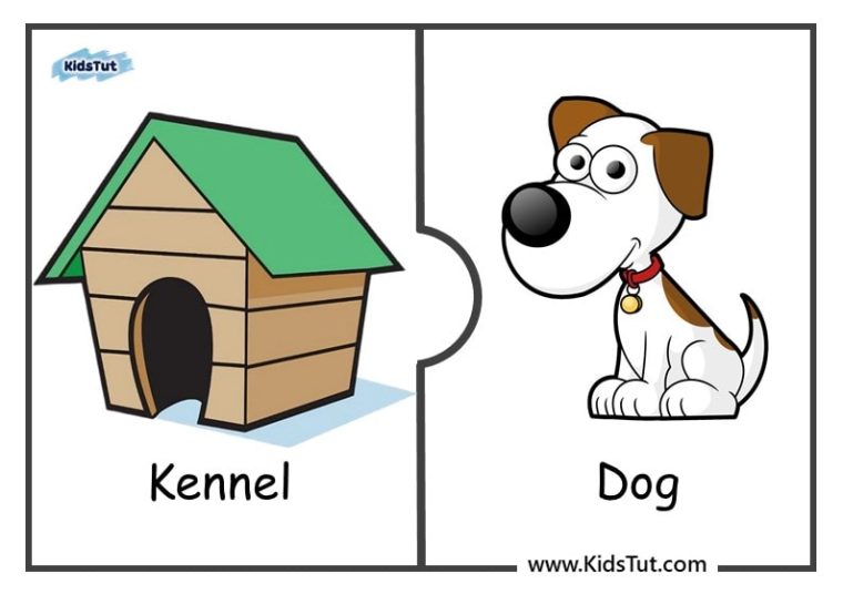 20 Flashcards of Animals and their homes for kids - KidsTut