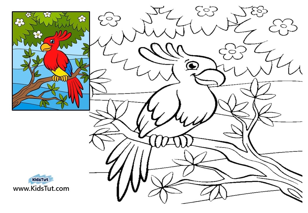 Free Printable Animals Coloring Pages for Kids - KidsTut