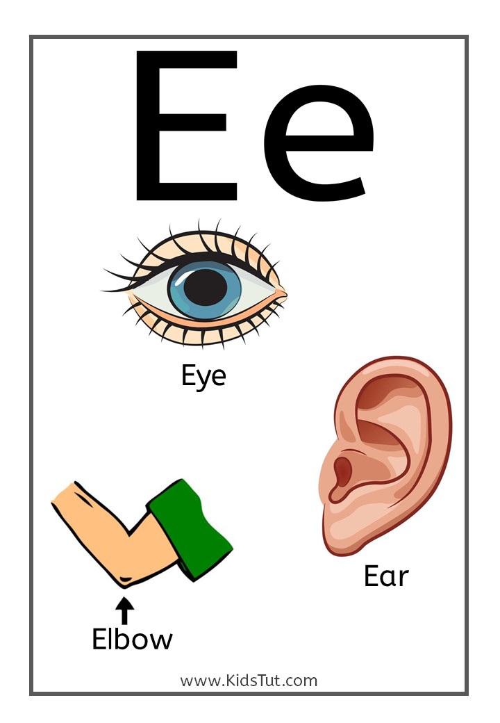 Words that Start with the letter “E” for kids - KidsTut