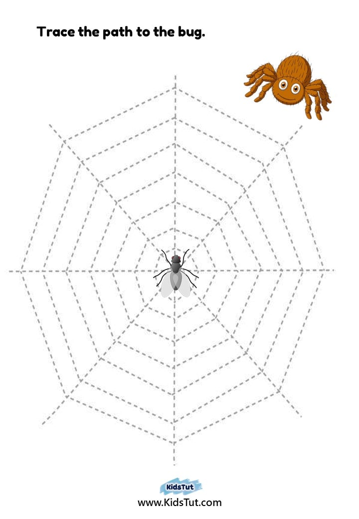 Trace the Path: Tracing Worksheets for Kids - KidsTut