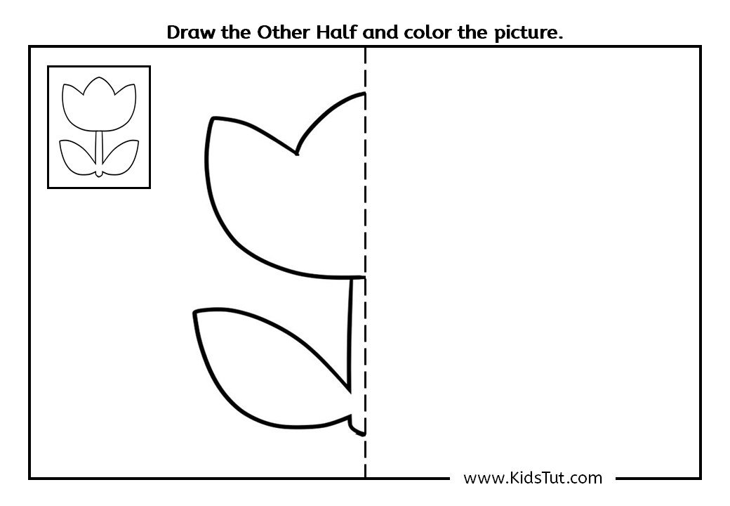 Free Symmetry drawing worksheets for kids - KidsTut
