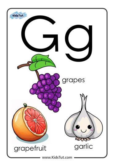 Easy ‘G’ Words with Simple Examples for Kids - KidsTut