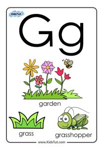 Easy ‘G’ Words with Simple Examples for Kids - KidsTut