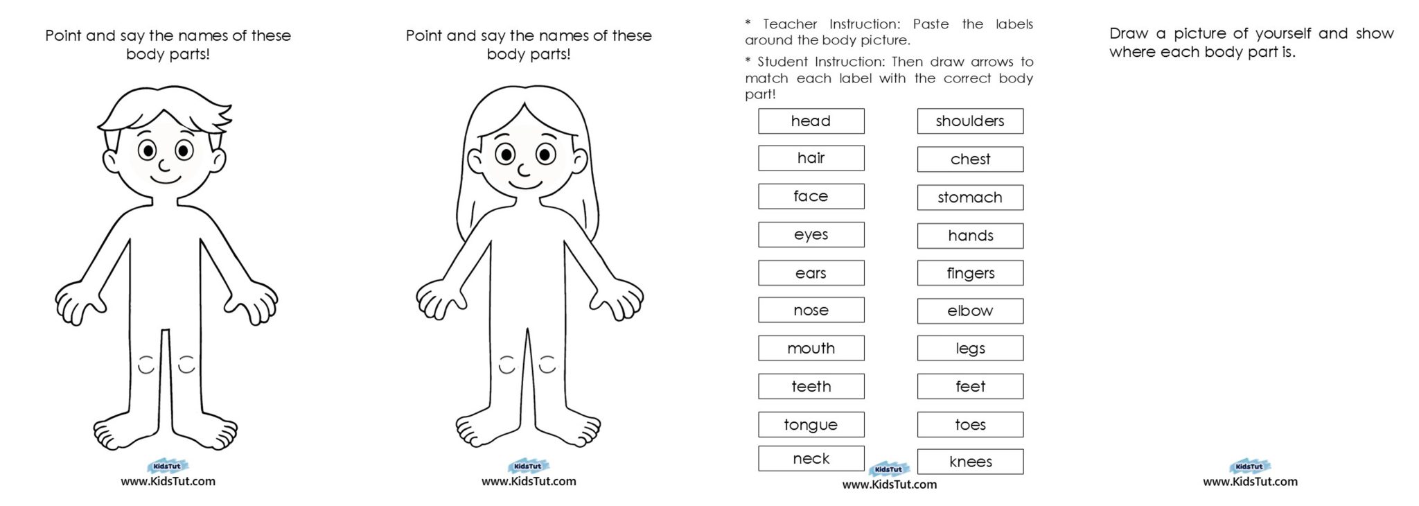 Parts of the Body Worksheet for Kindergarten - KidsTut
