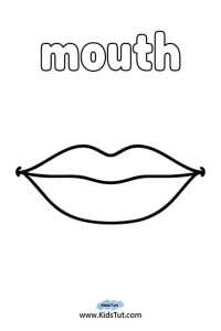 Parts of the Body Worksheet for Kindergarten - KidsTut