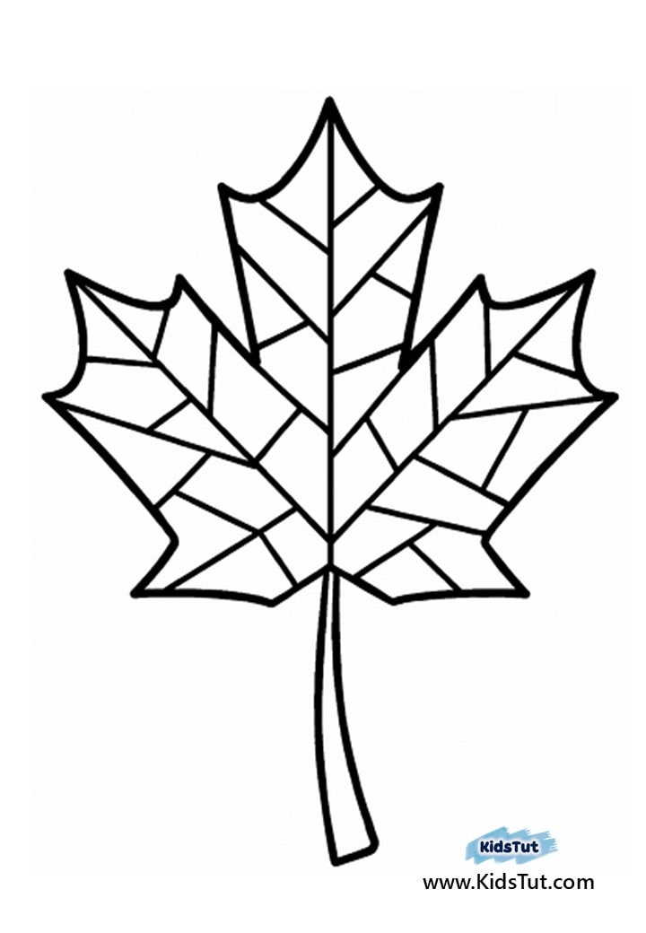 Free Fall Leaves Coloring Pages for Kids to Enjoy - KidsTut